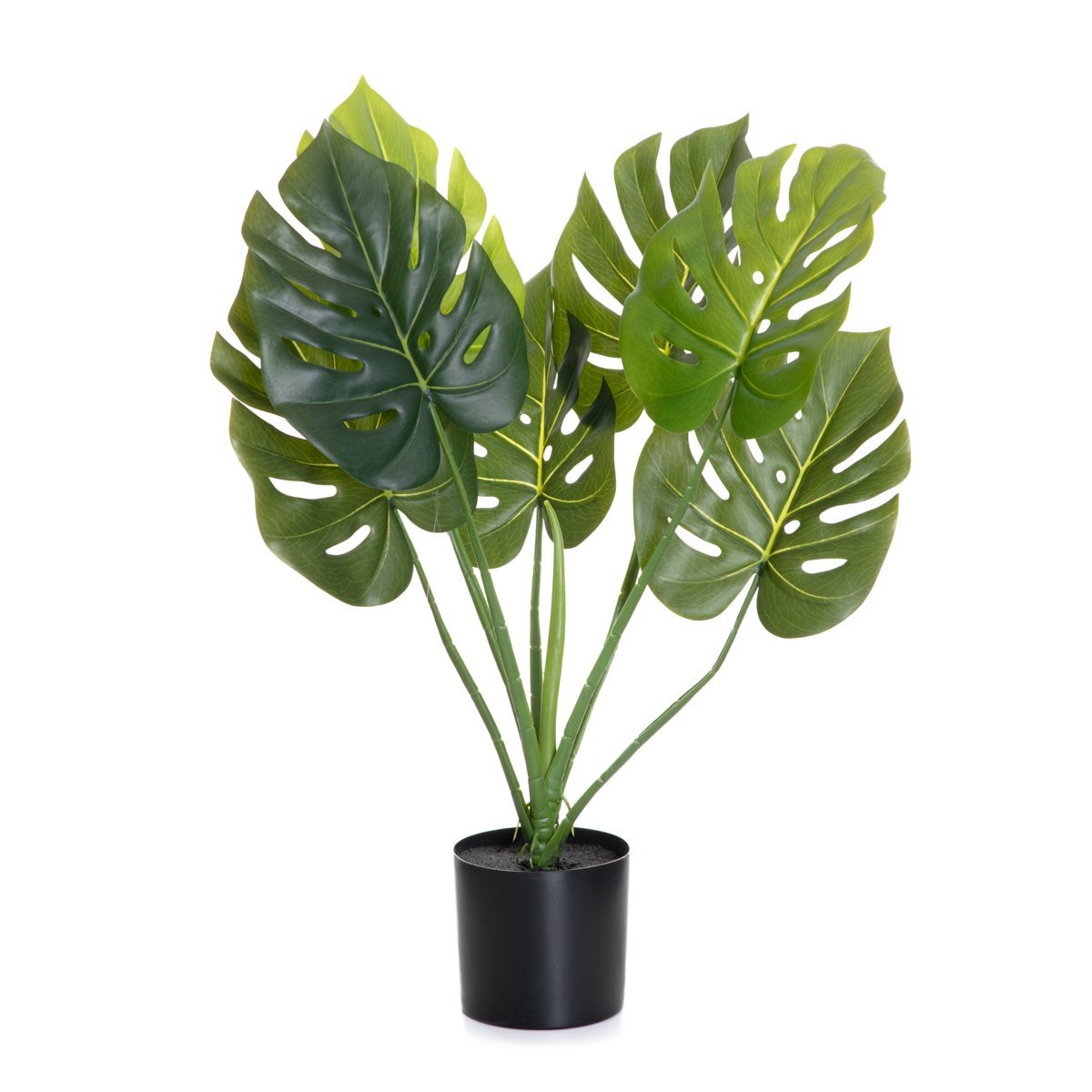 Umělá rostlina TROPICAL ZONE monstera v černém květináči 882024 75 cm ...
